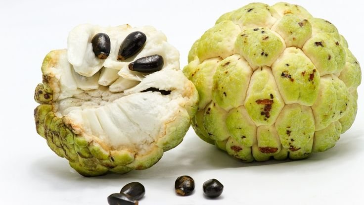 The Best Health Benefits of Custard Apples