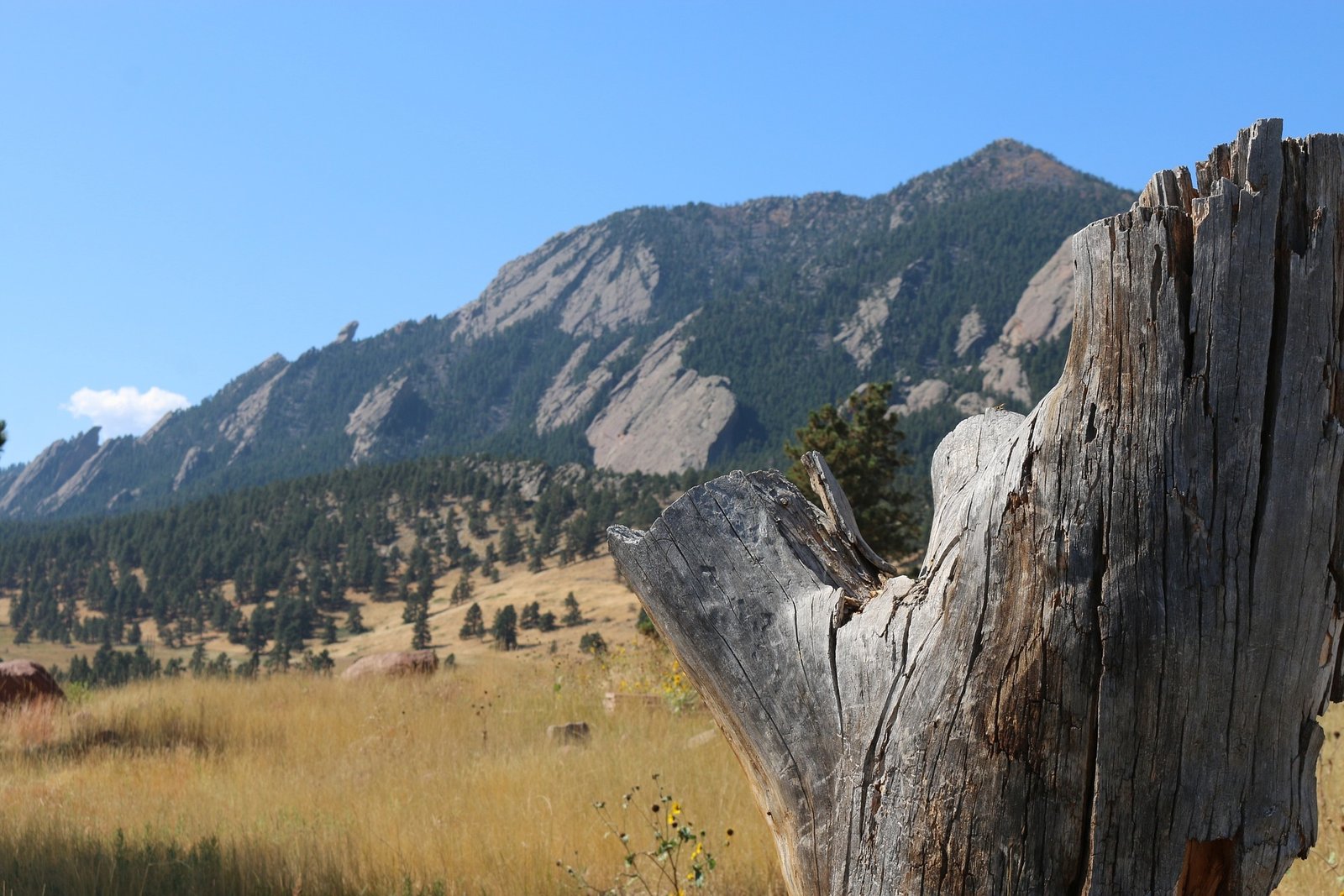 A Day Trip Guide to Boulder, Colorado